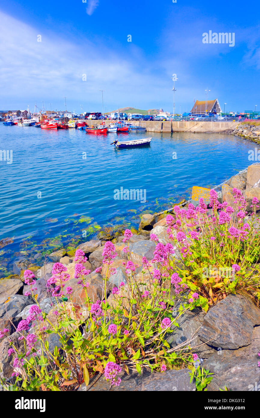 ocean port in ireland Stock Photo - Alamy