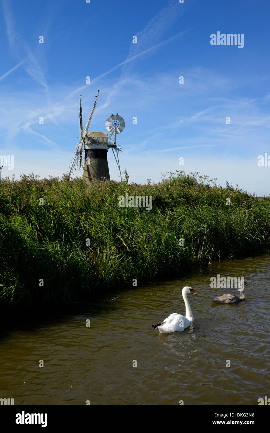 Thurne windmill hi-res stock photography and images - Alamy