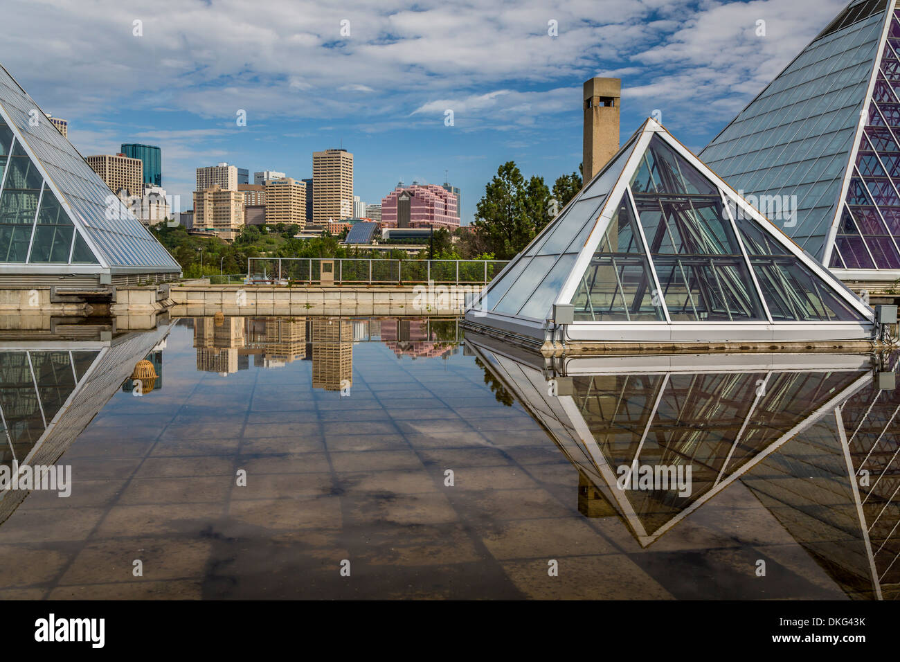 The Muttart Conservatory Pyramids and the city skyline of Edmonton ...