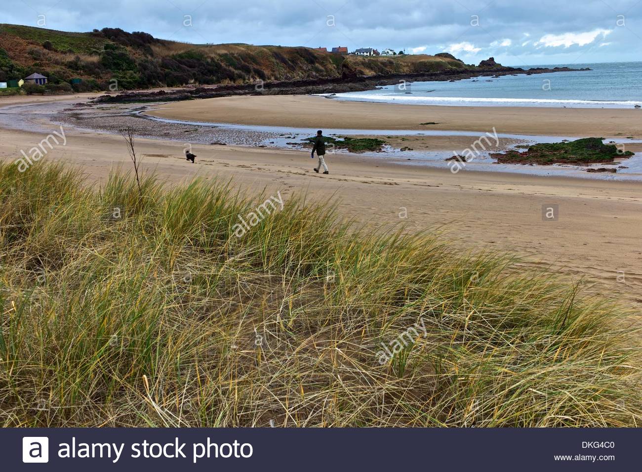 Coldingham Bay Stock Photos & Coldingham Bay Stock Images - Alamy