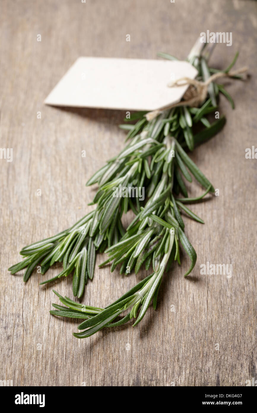 Rosemary plant label hi-res stock photography and images - Alamy