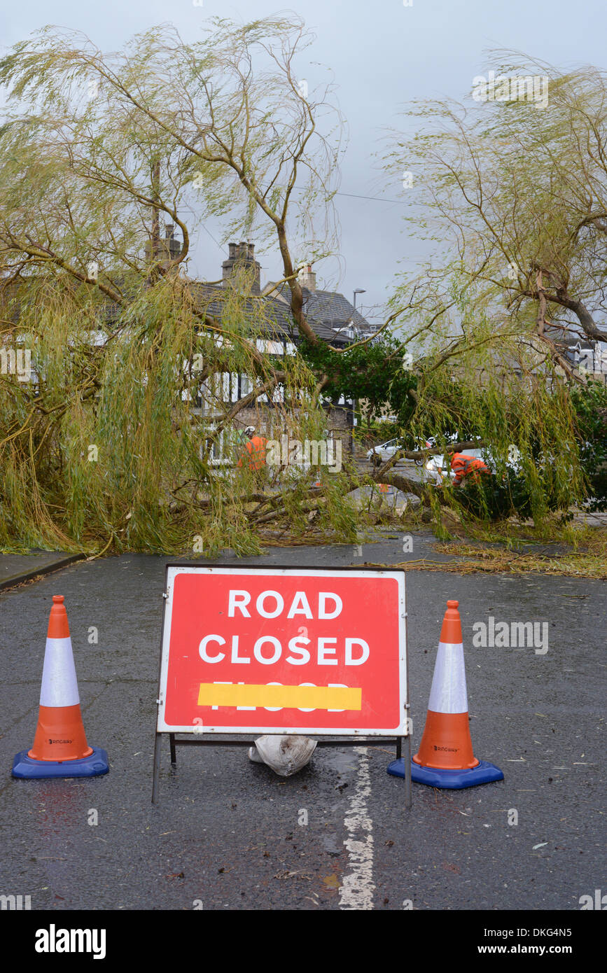 warning sign of closed road due to fallen tree during storm, south ...