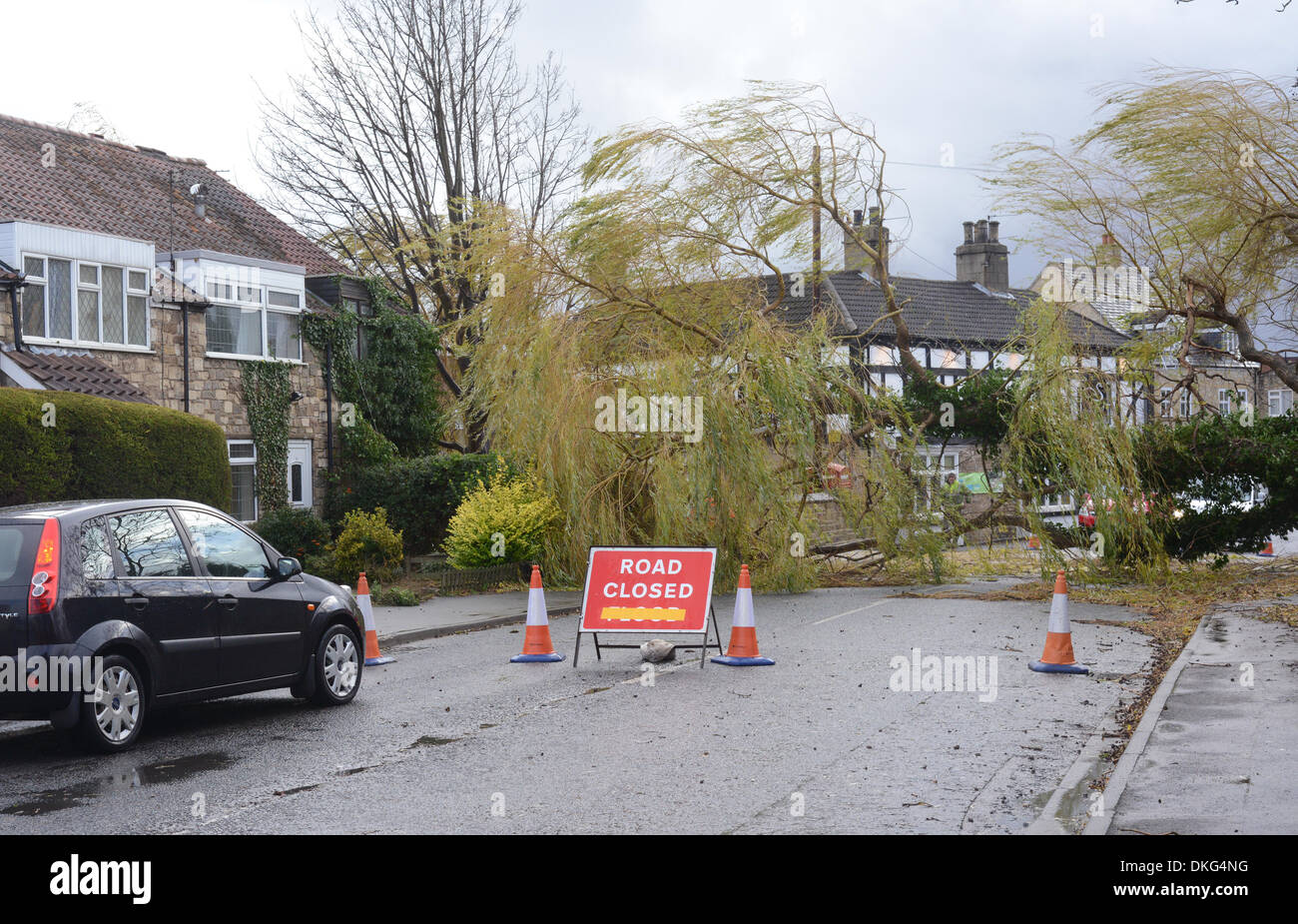 warning sign of closed road due to fallen tree during storm, south ...