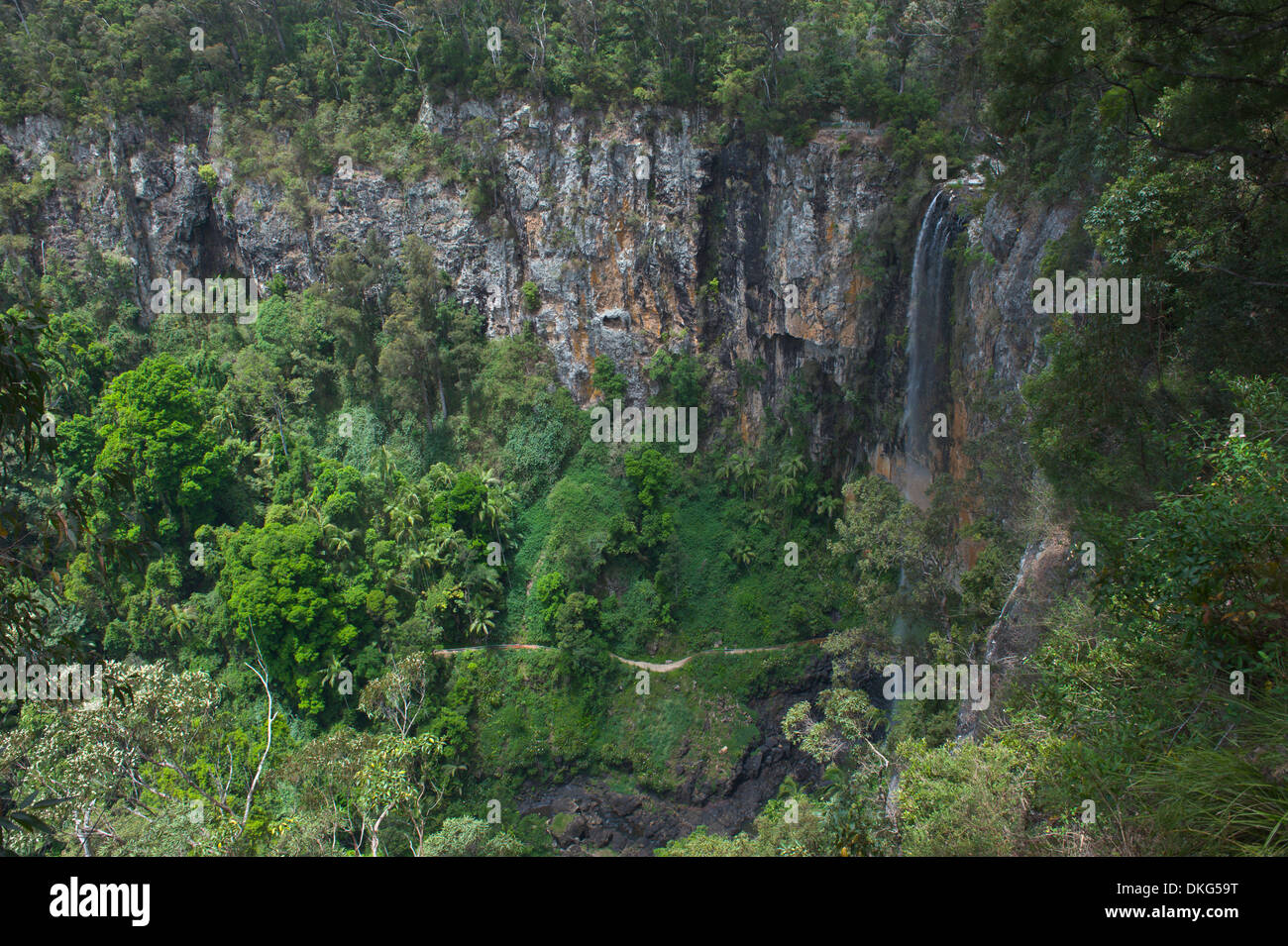 Springbrook national park hi-res stock photography and images - Alamy