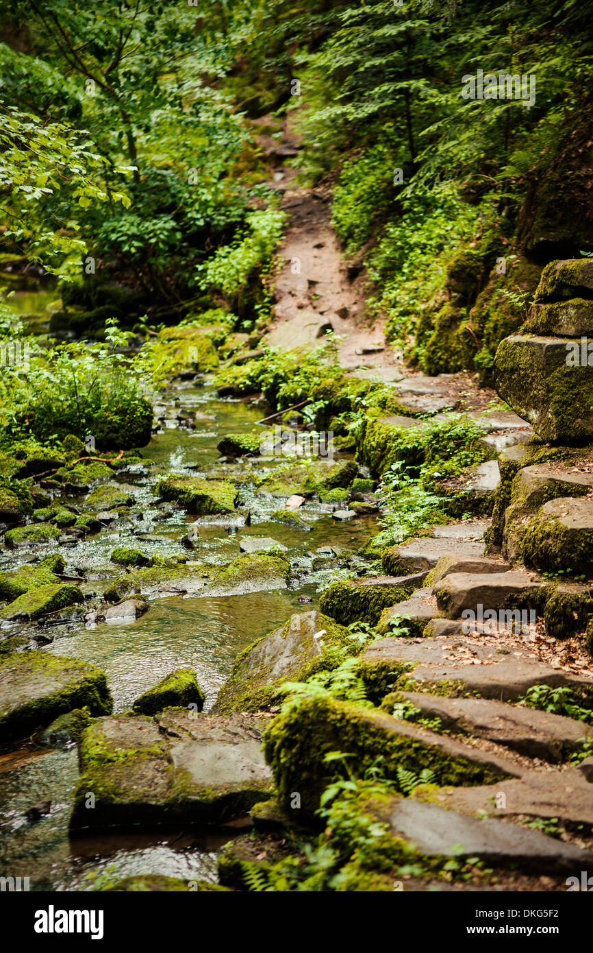 Monbachtal Stock Photos & Monbachtal Stock Images - Alamy