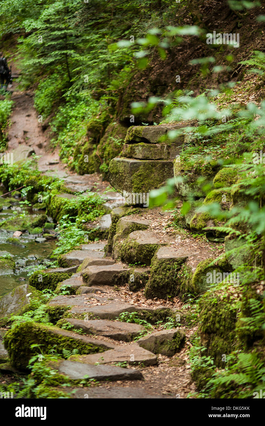 Monbachtal Stock Photos & Monbachtal Stock Images - Alamy