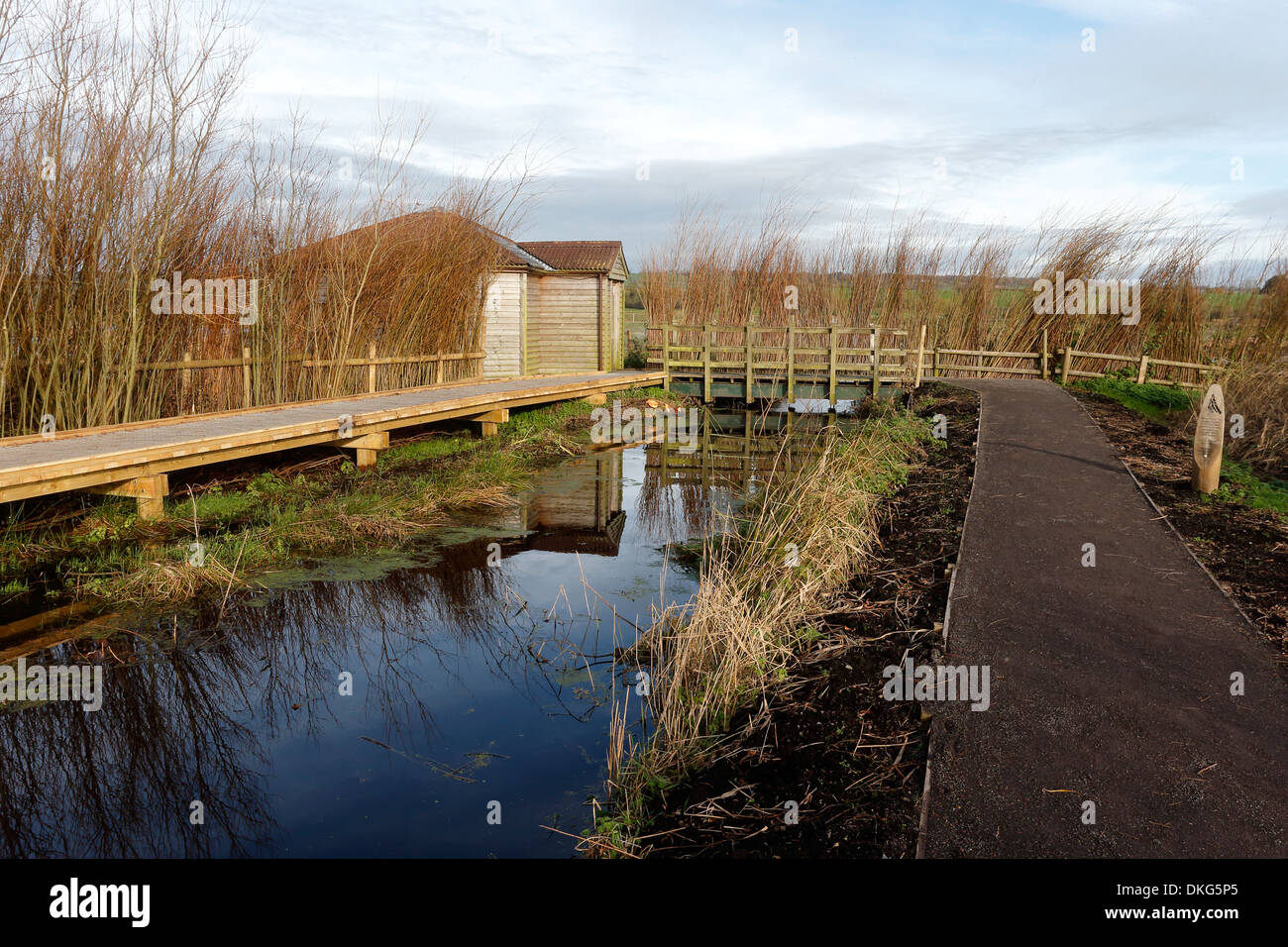 Greylake RSPB Reserve, Somerset, November 2013 Stock Photo - Alamy