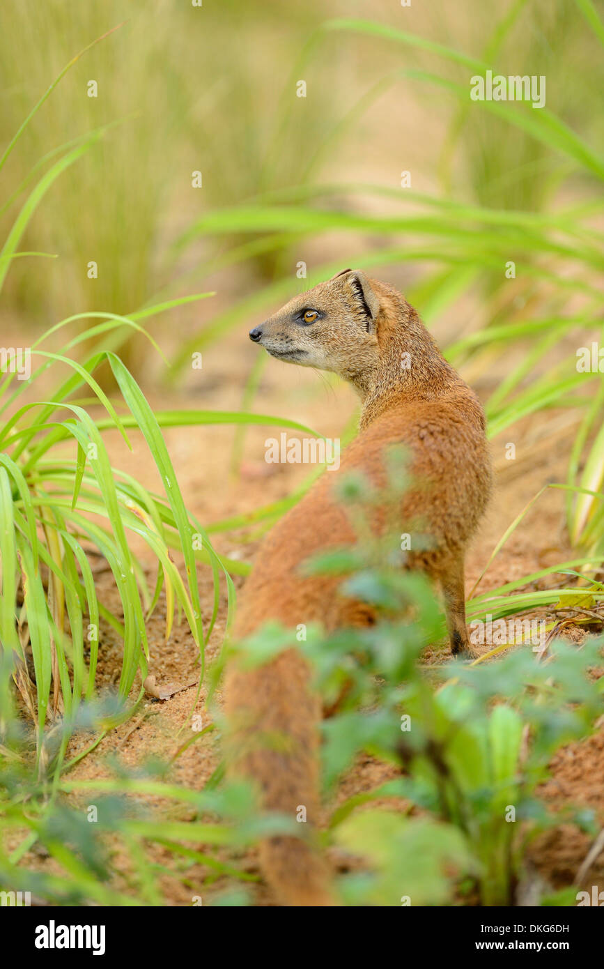 Bavaria ge hi-res stock photography and images - Alamy