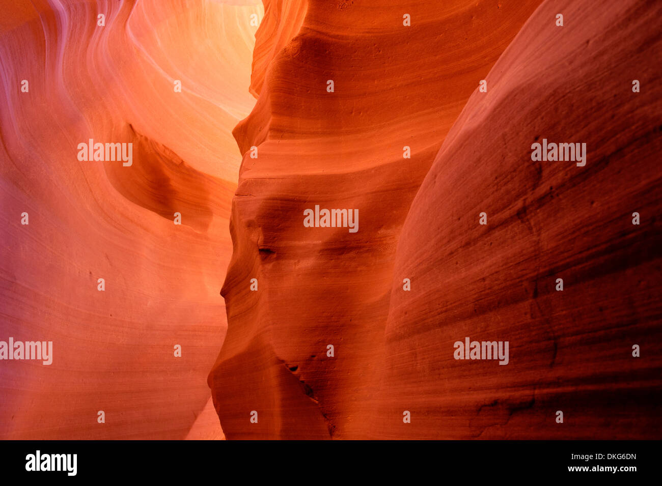 Pink page detail hi-res stock photography and images - Alamy