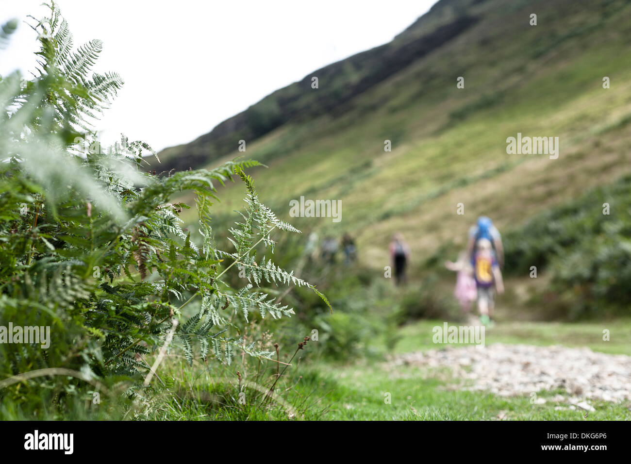 An out of focus family walk into the distance, while on holiday in the ...