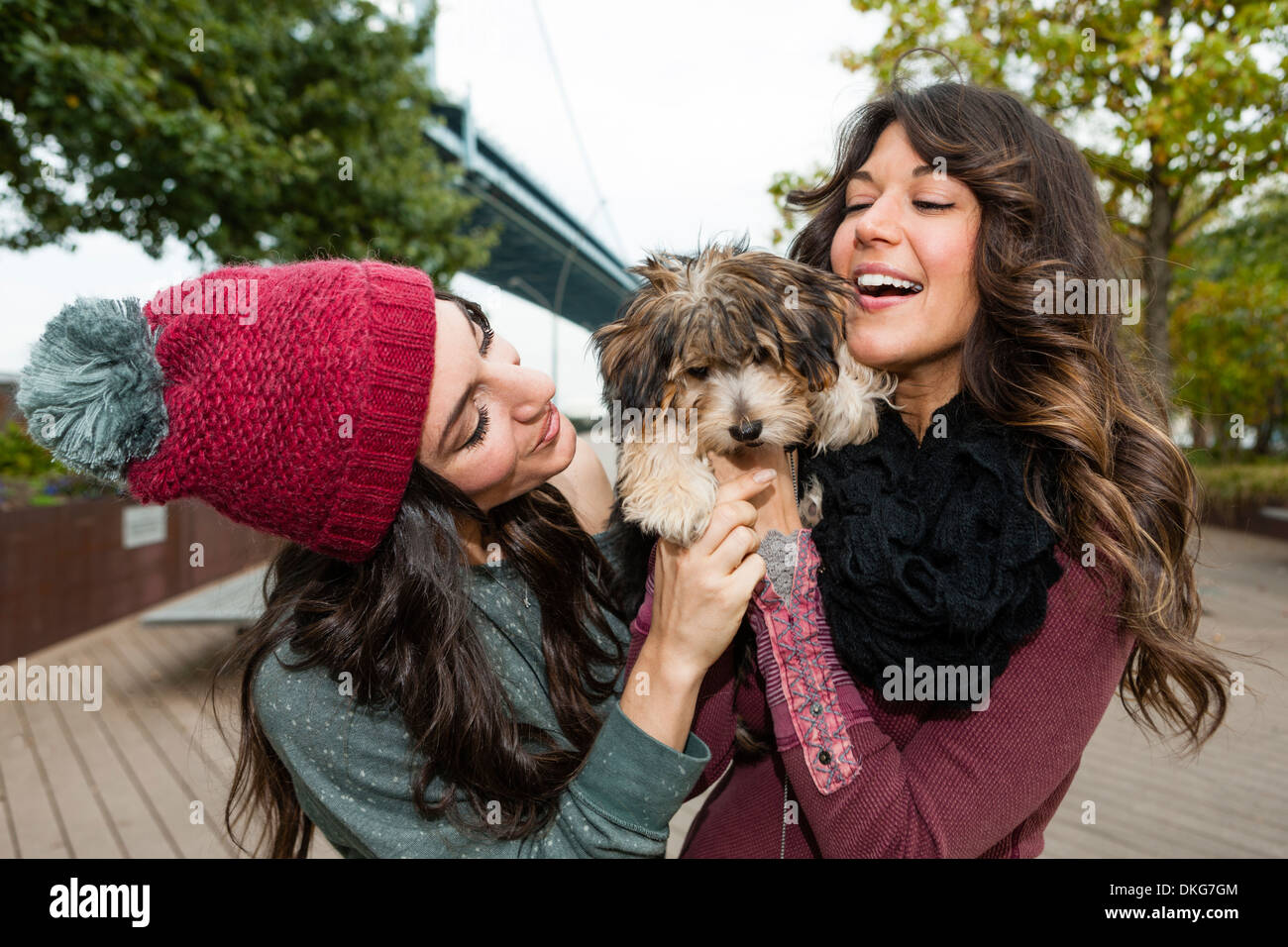 Friends holding pet dog for photograph Stock Photo - Alamy