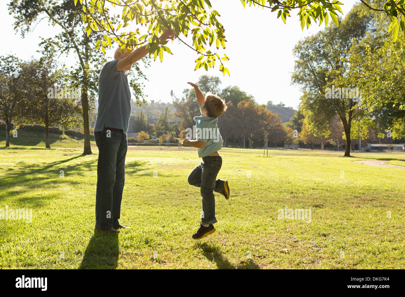 Boy jumping to reach tree branch Stock Photo - Alamy