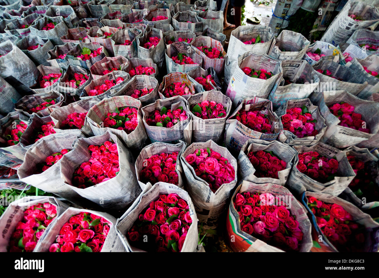 Red roses on a flower market, Bangkok, Thailand, Asia Stock Photo - Alamy