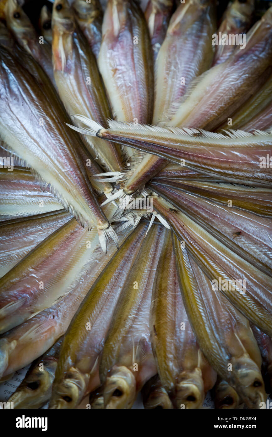 Dried fish on a market, Phnom Penh, Cambodia, Asia Stock Photo - Alamy