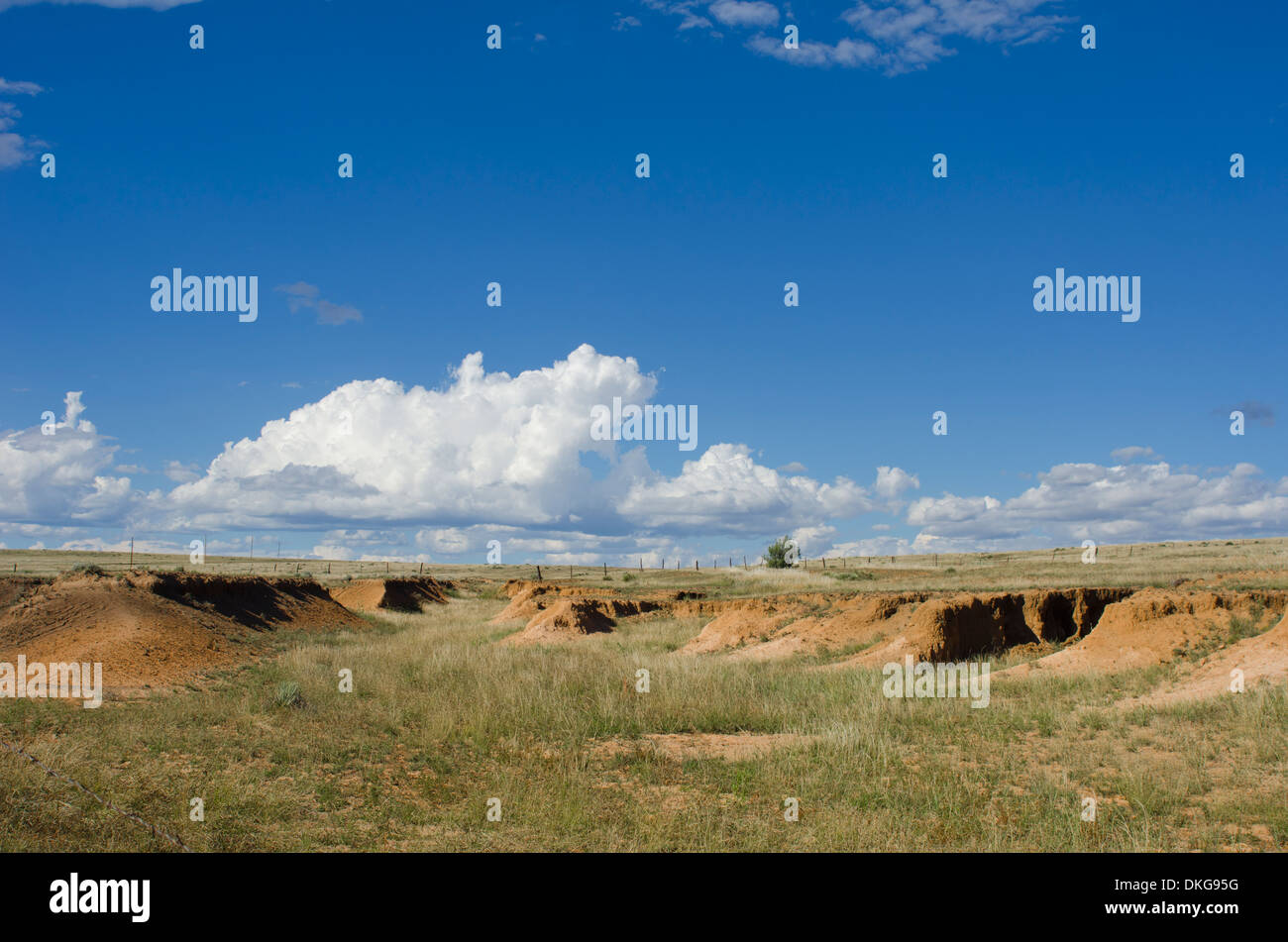 An historic piece of land in Northeastern New Mexico is the site of ...
