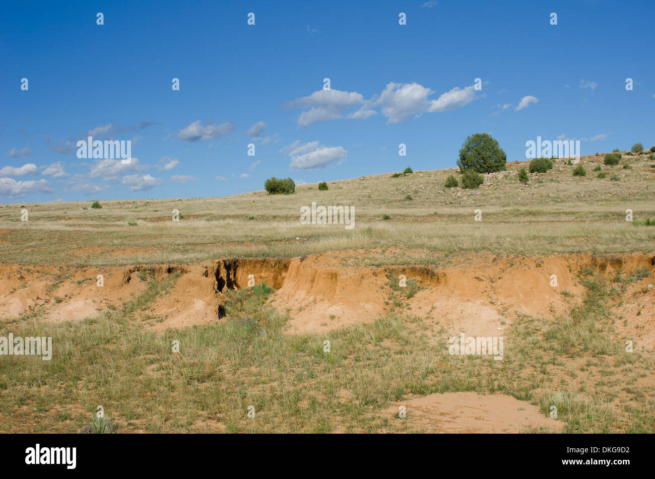 Wagon ruts hi-res stock photography and images - Alamy