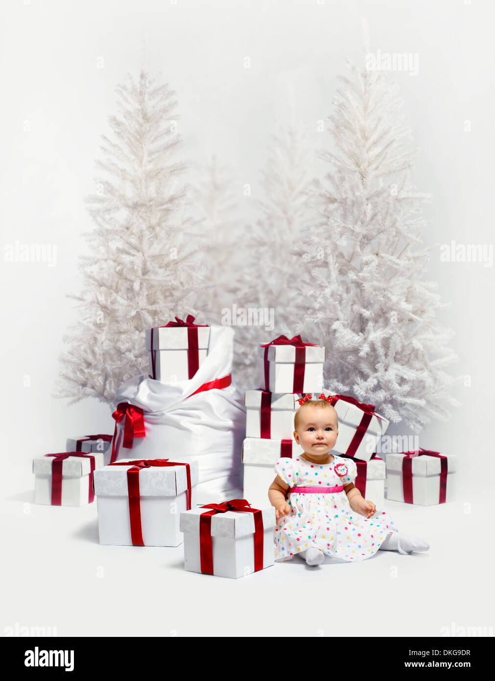 Baby spruce trees hi-res stock photography and images - Alamy