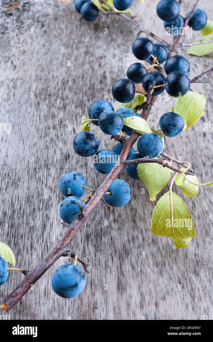 Ber Fruit High Resolution Stock Photography and Images - Alamy