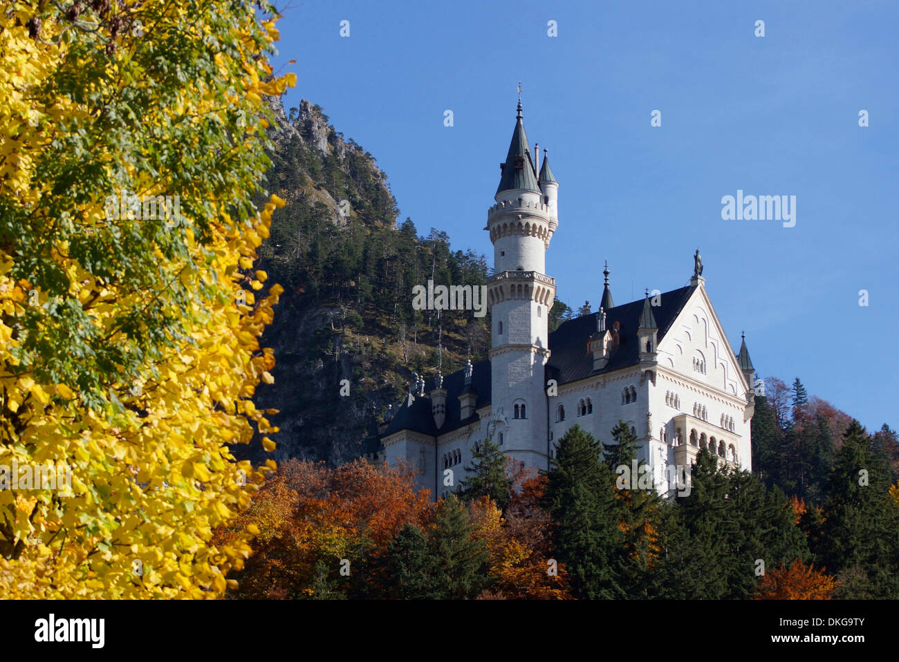 neuschwanstein castle, schwangau-hohenschwangau, near füssen, ostallgäu ...