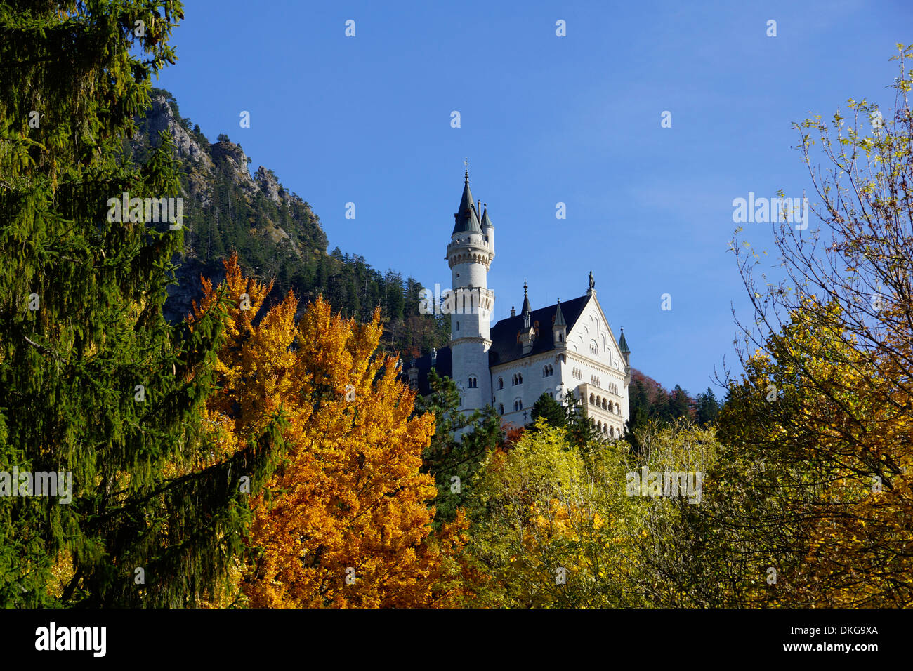 neuschwanstein castle, schwangau-hohenschwangau, near füssen, ostallgäu ...