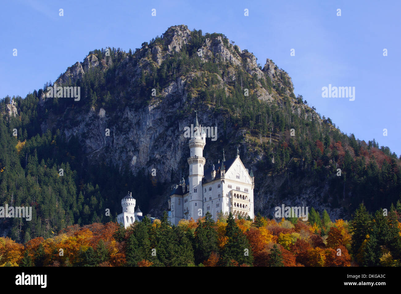 neuschwanstein castle, schwangau-hohenschwangau, near füssen, ostallgäu ...