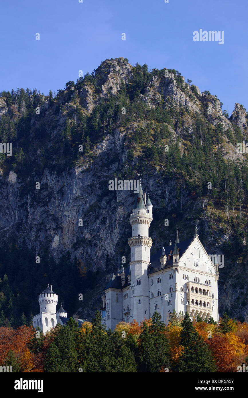 neuschwanstein castle, schwangau-hohenschwangau, near füssen, ostallgäu ...