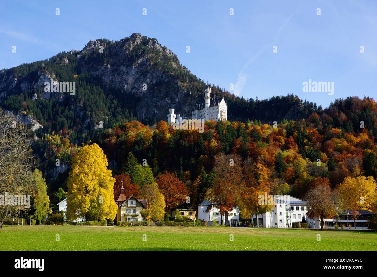 neuschwanstein castle, schwangau-hohenschwangau, near füssen, ostallgäu ...