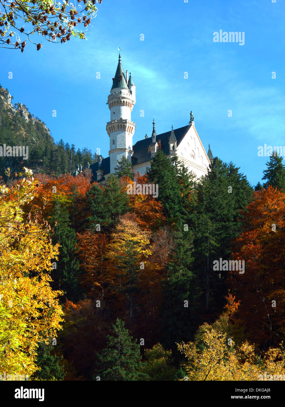 neuschwanstein castle, schwangau-hohenschwangau, near füssen, ostallgäu ...