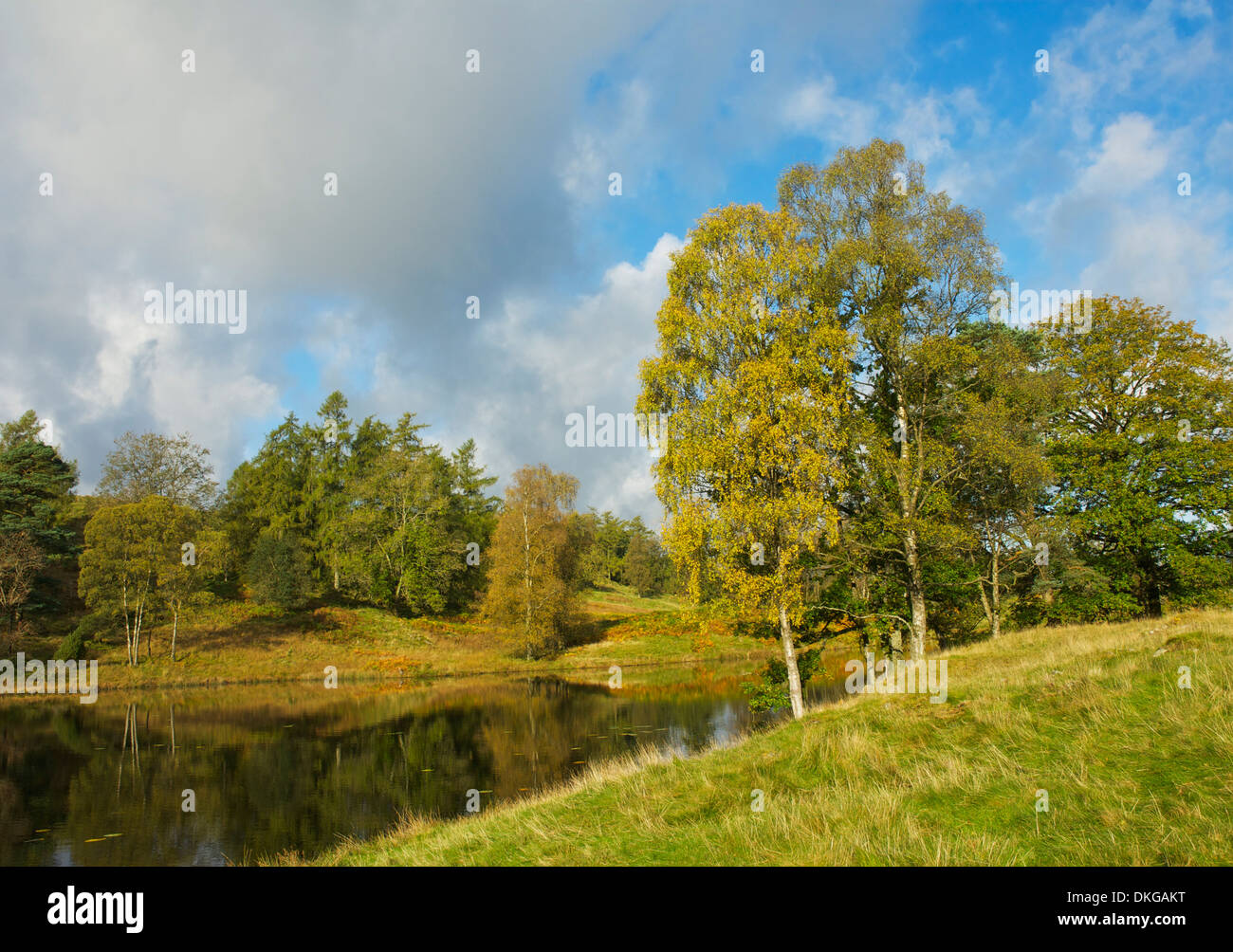 Ghyll Head Reservoir, South Lakeland, Lake District National Park ...