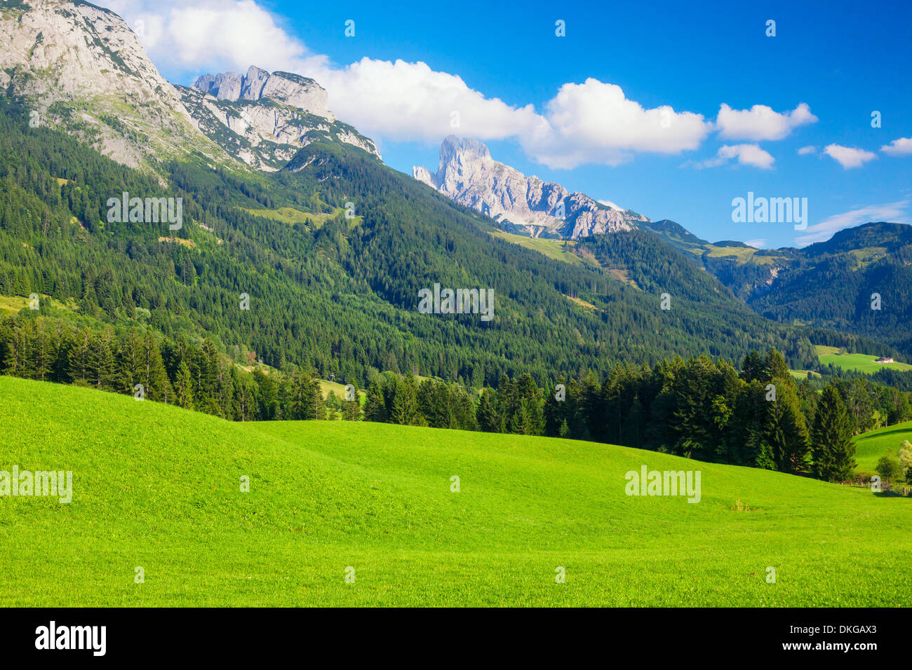 Alpine meadows, northern europe hi-res stock photography and images - Alamy
