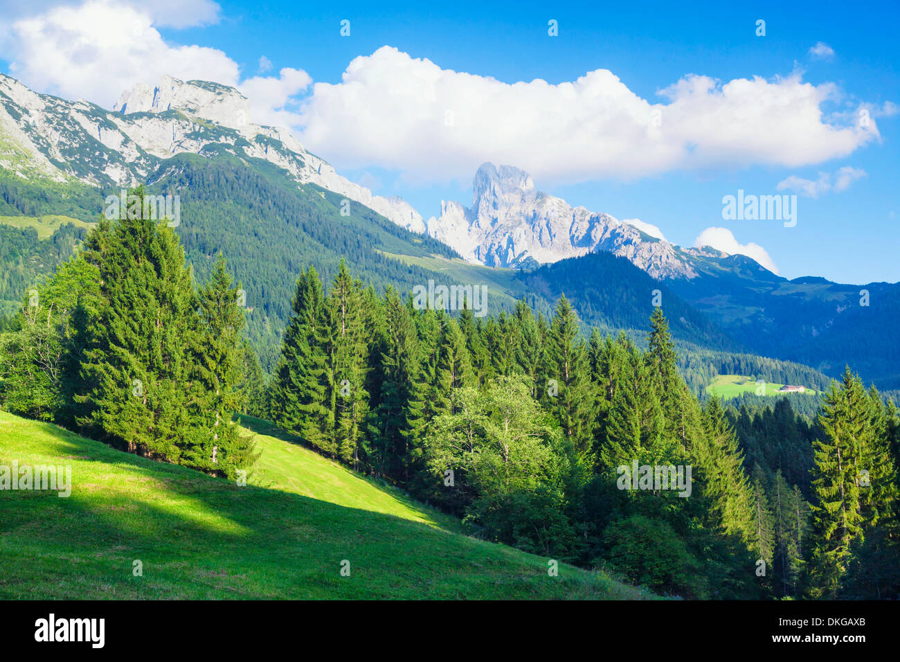 Alpine meadows, northern europe hi-res stock photography and images - Alamy