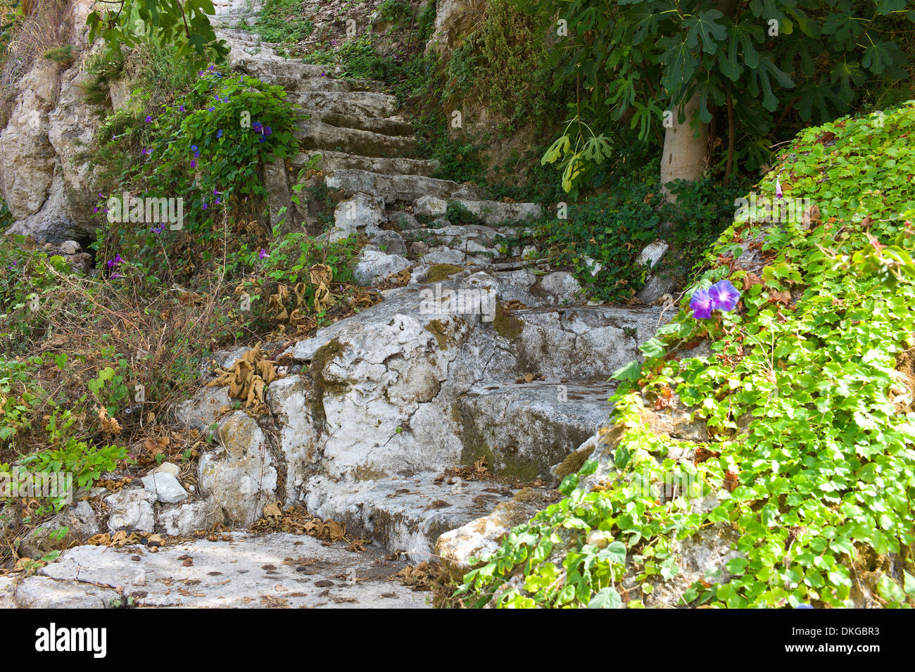Stone steps leading up a steep path in Assos, Kefalonia, Greece Stock ...