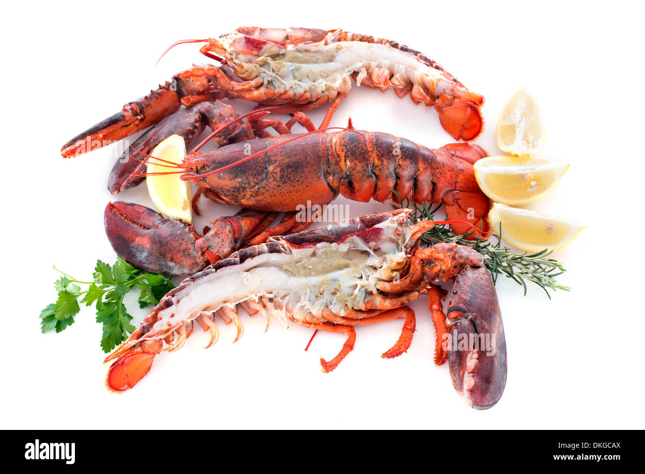 two lobsters in front of white background Stock Photo - Alamy