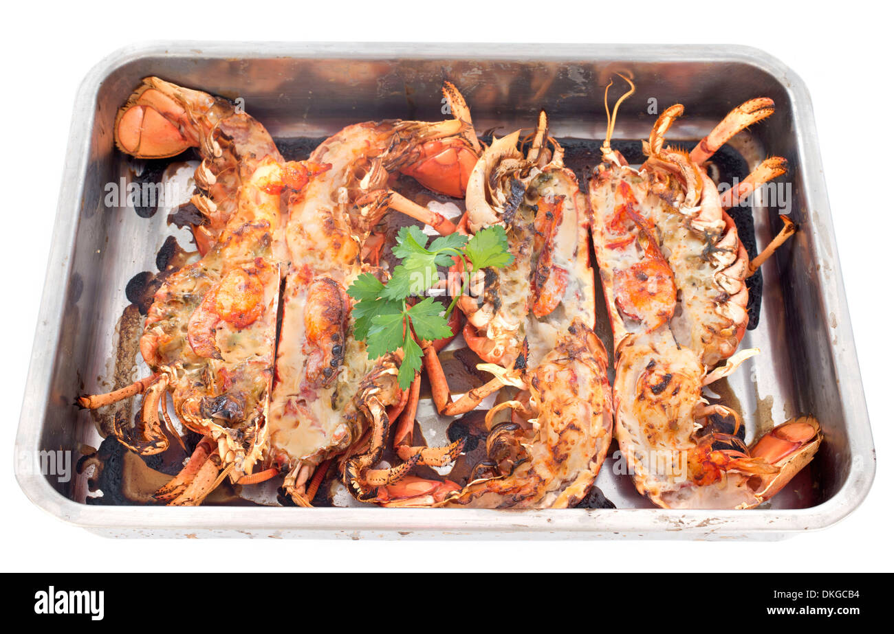two lobsters in front of white background Stock Photo - Alamy