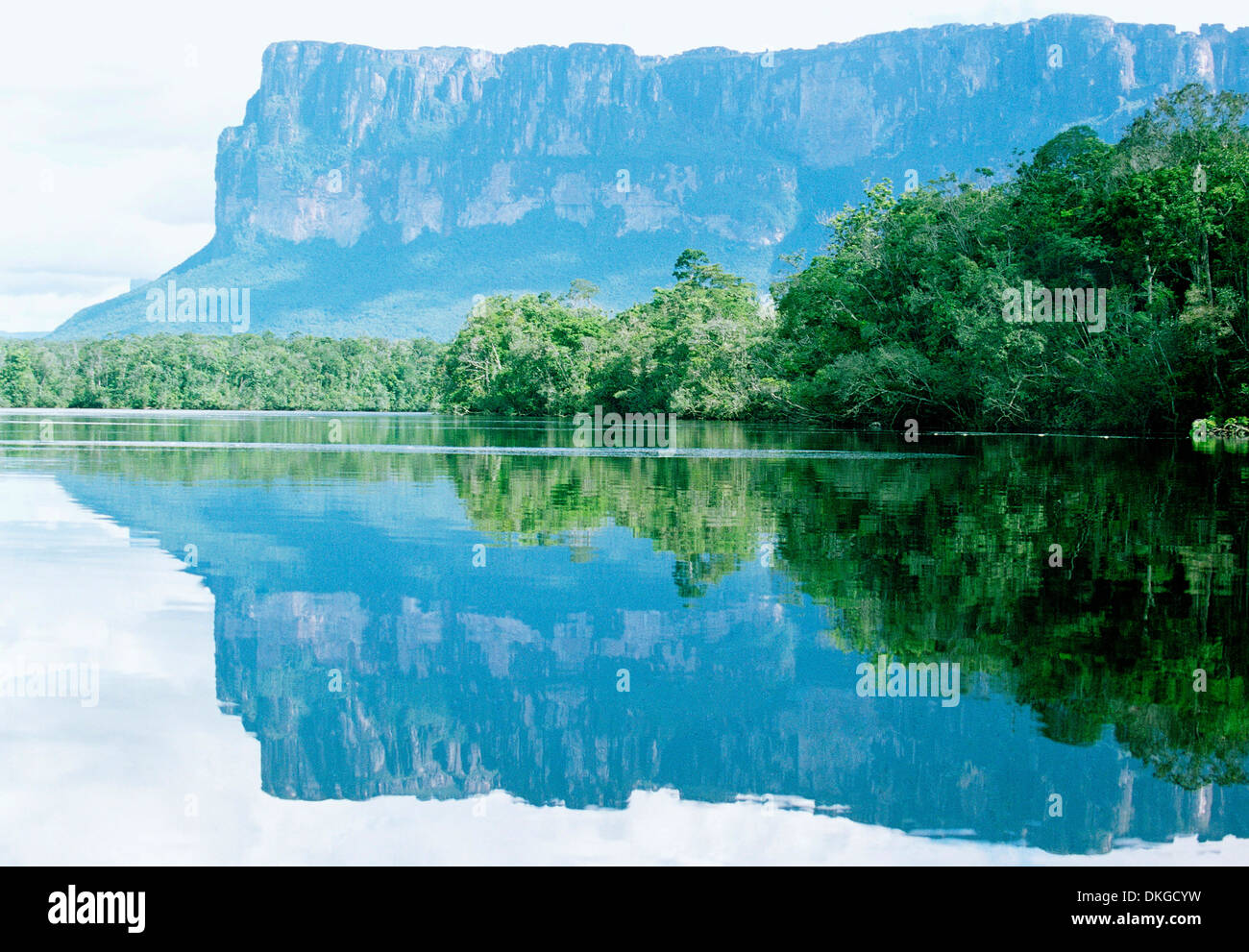 Reflection of the Auyantepuy mountain in a river in Canaima National ...