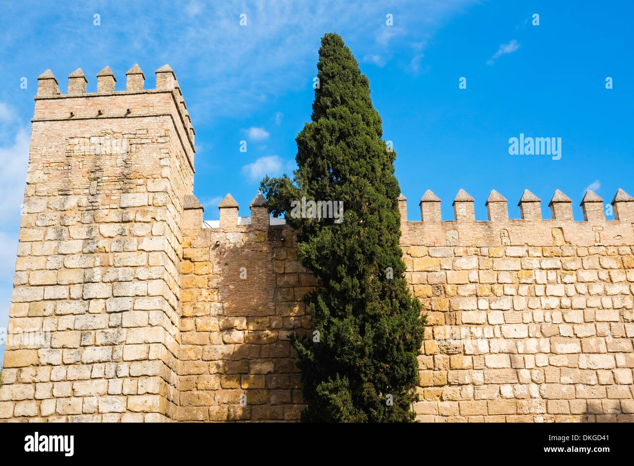 Seville alcazar hi-res stock photography and images - Alamy