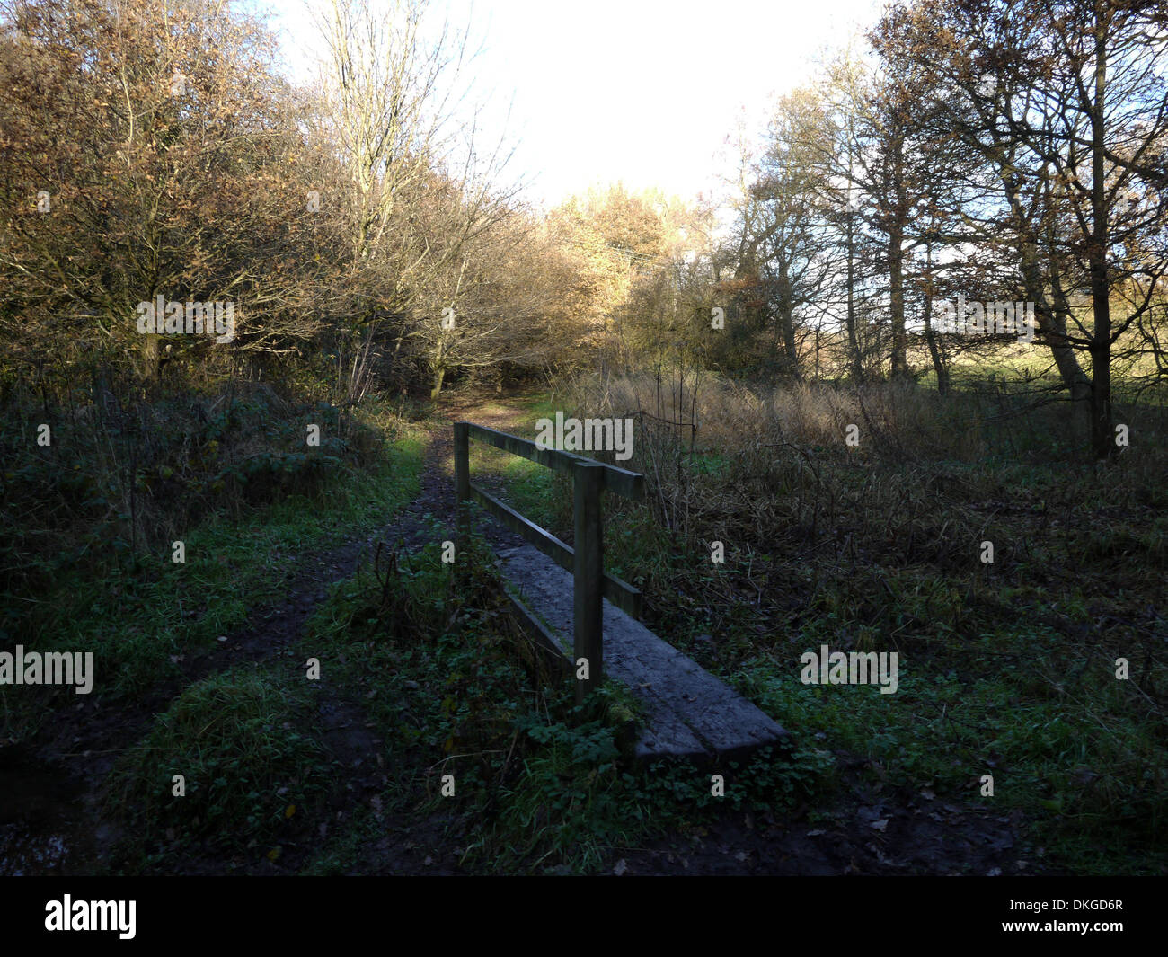 Walk bridge over stream in Cheshire UK Stock Photo - Alamy