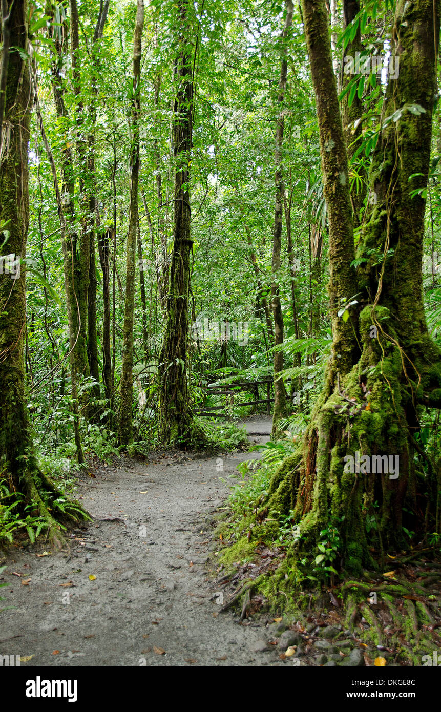 Morne Trois Pitons National Park, Dominica, Windward Islands, Lesser ...