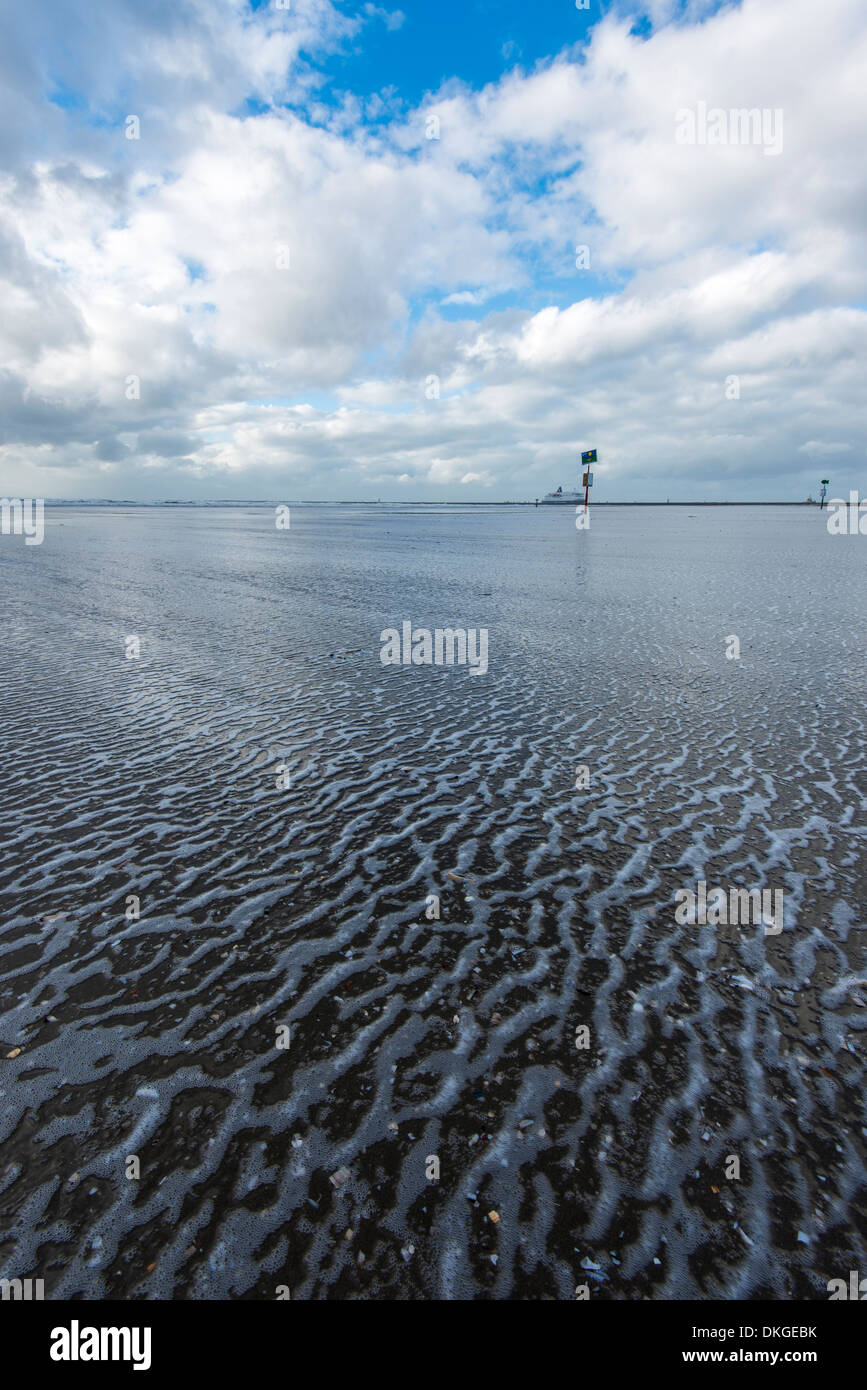 Wind storm netherlands hi-res stock photography and images - Alamy