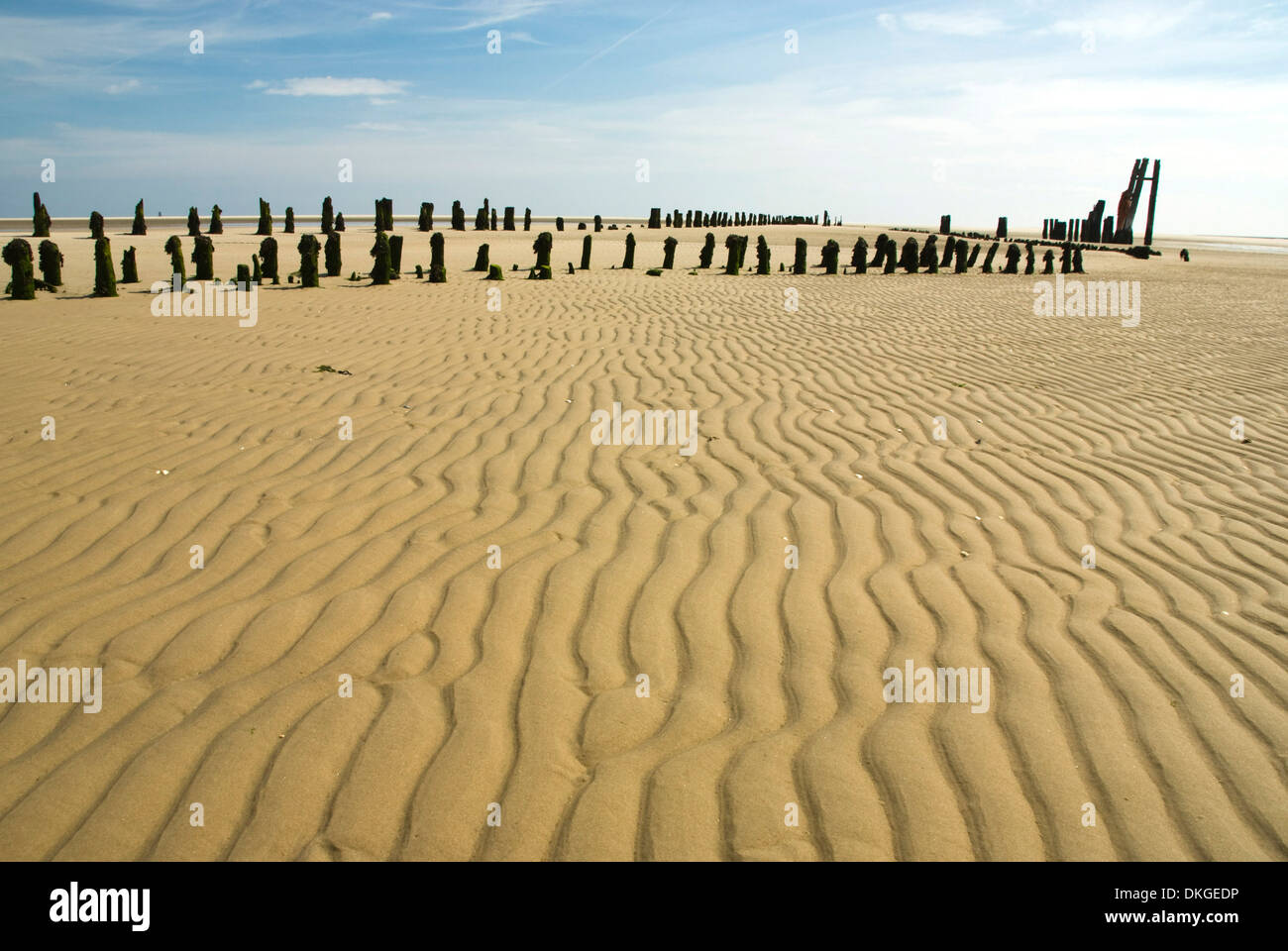 Lower Saxony Wadden Sea National Park Stock Photos & Lower Saxony ...