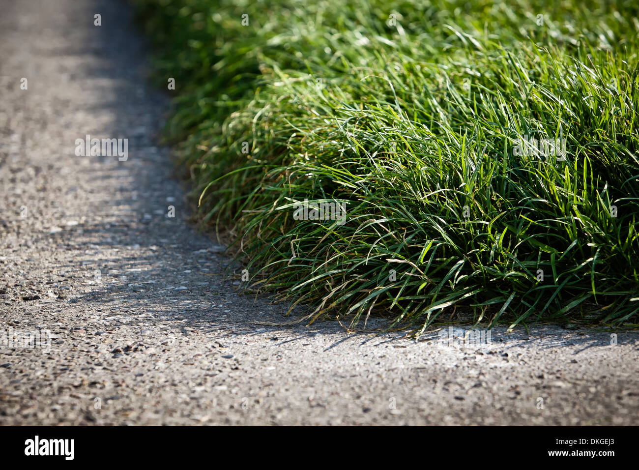 Green corner with grass at edge of concreted surface Stock Photo - Alamy