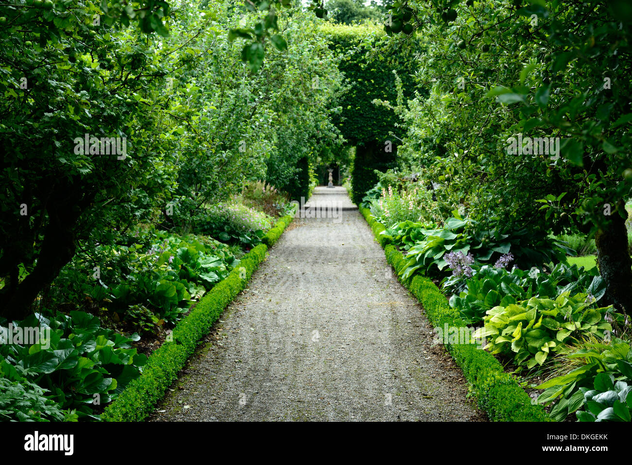 Ornamental kitchen garden hi-res stock photography and images - Alamy