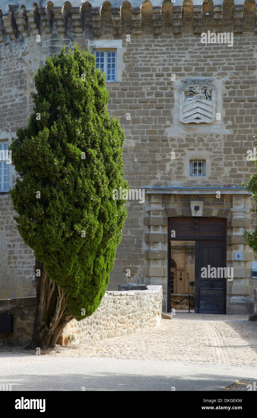 Vine castle hi-res stock photography and images - Alamy