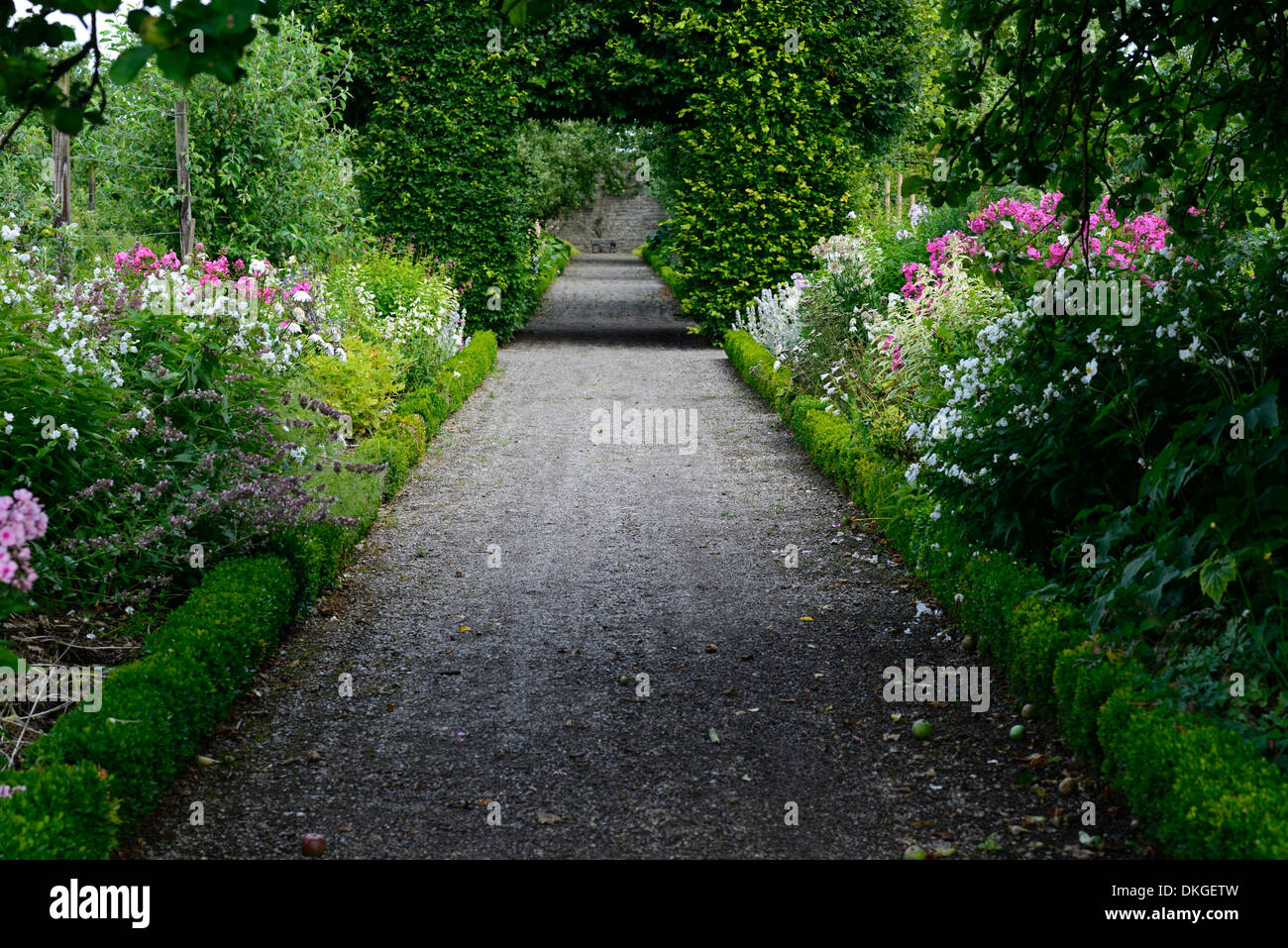 mix mixed herbaceous beds borders ornamental walled kitchen garden ...