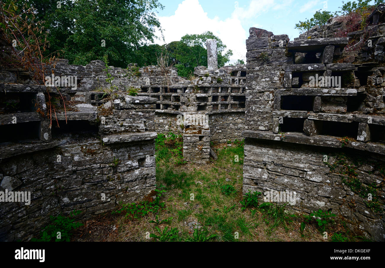 old disuse disused dove cote coot dovecote ruin ruined ballindoolin ...