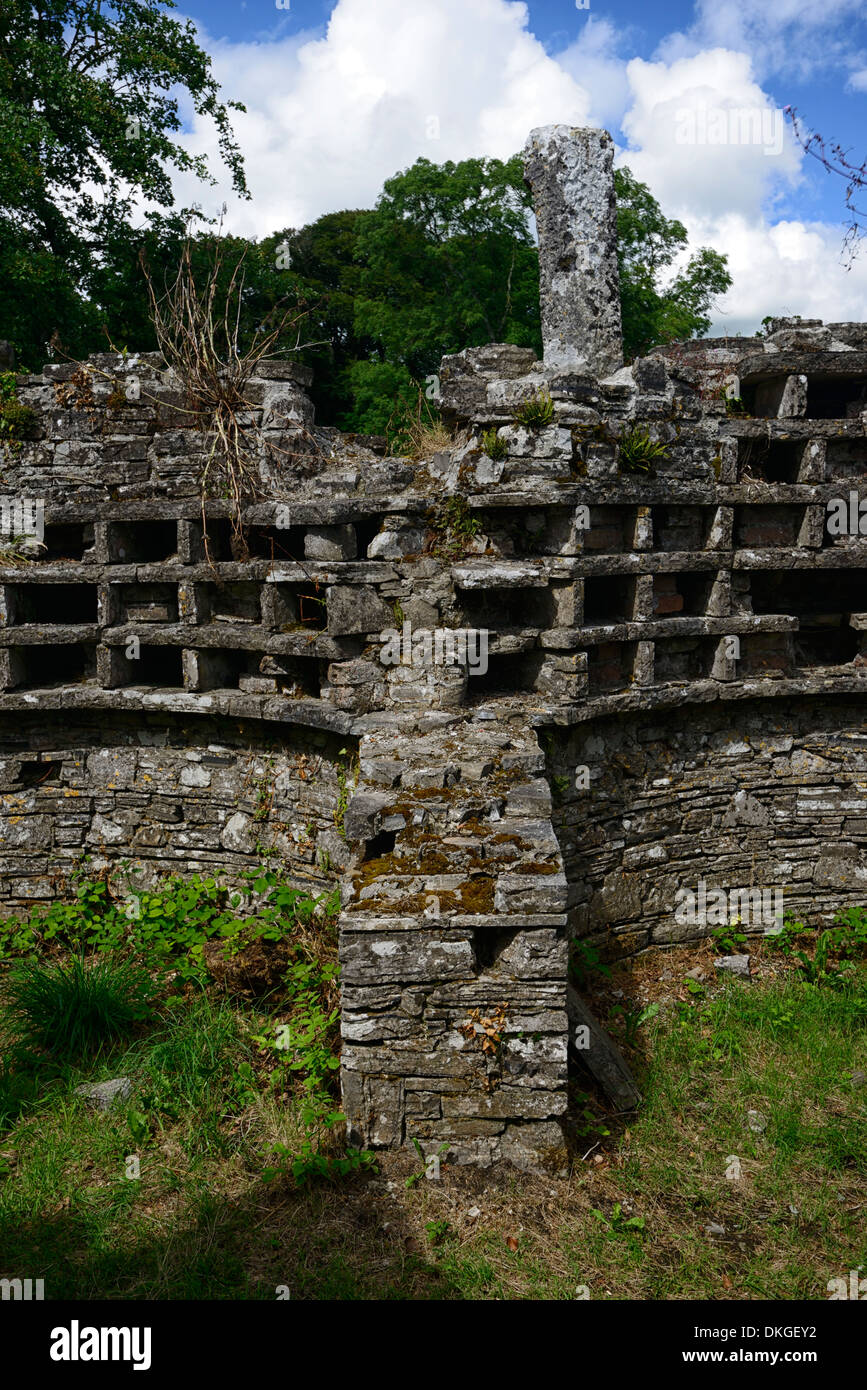 old disuse disused dove cote coot dovecote ruin ruined ballindoolin ...