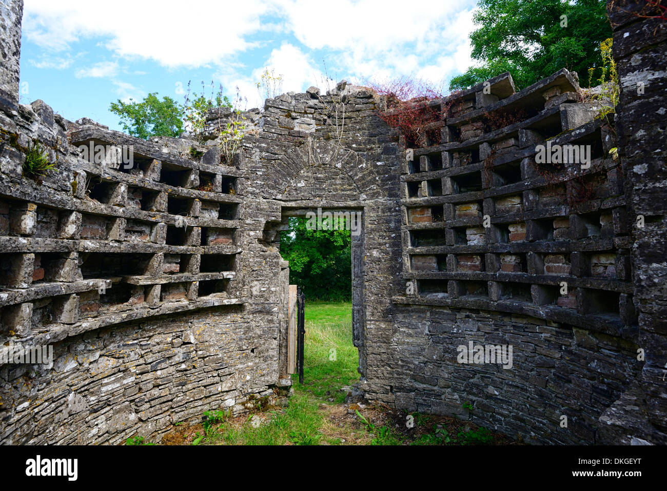 old disuse disused dove cote coot dovecote ruin ruined ballindoolin ...