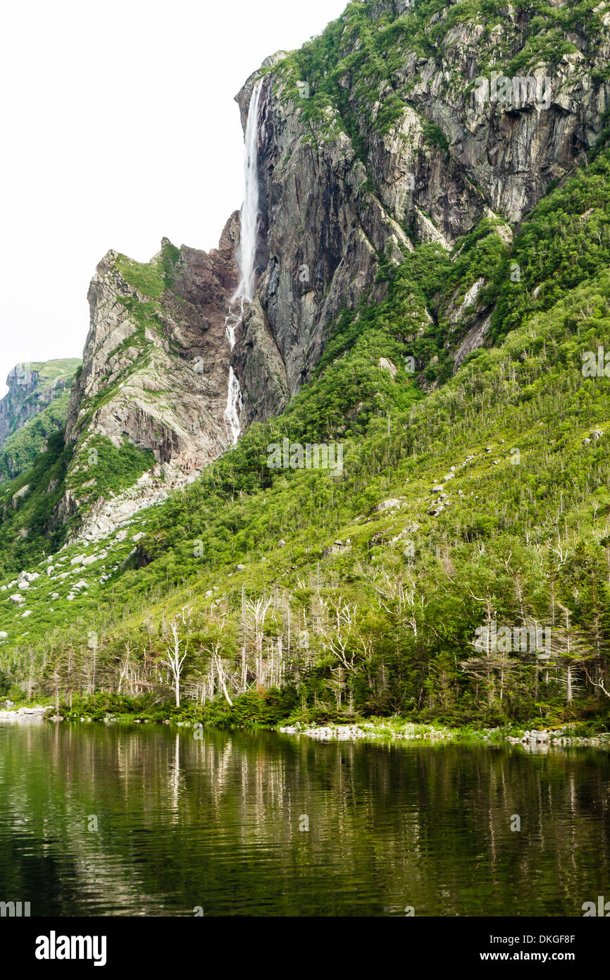 Jagged, tree-covered cliffs rise above Western Brook Pond in Gros Morne ...