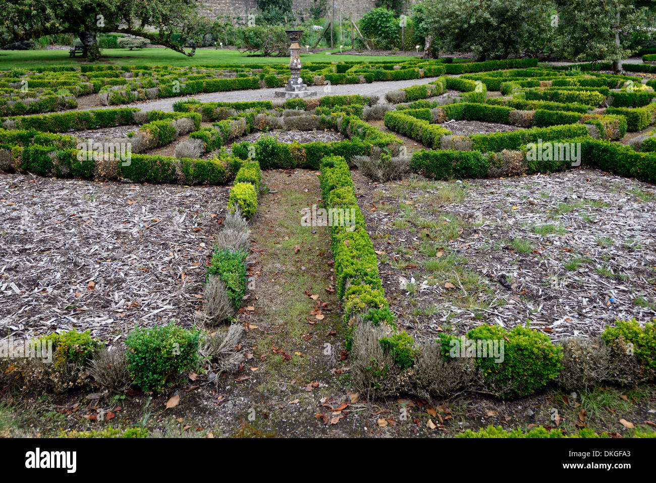 ballindoolin sundial garden buxus evergreen hedge topiary box blight ...