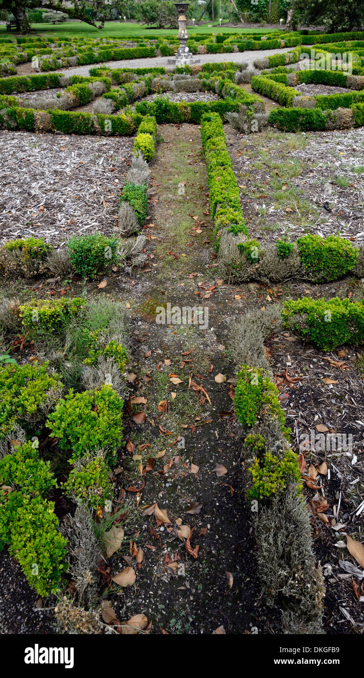 ballindoolin sundial garden buxus evergreen hedge topiary box blight ...